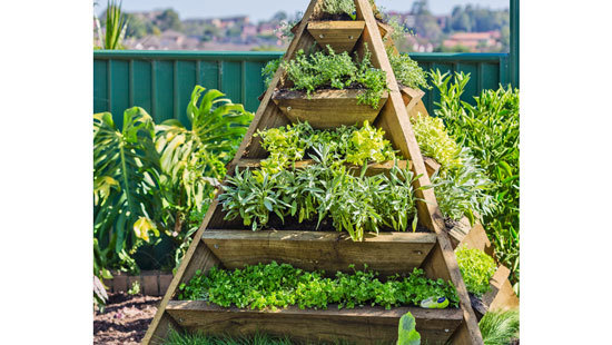The Benefits of a Garden Pyramid – 101 Ways to Survive