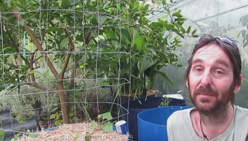 Self watering container / Wicking barrel, with added ideas & pointers ...