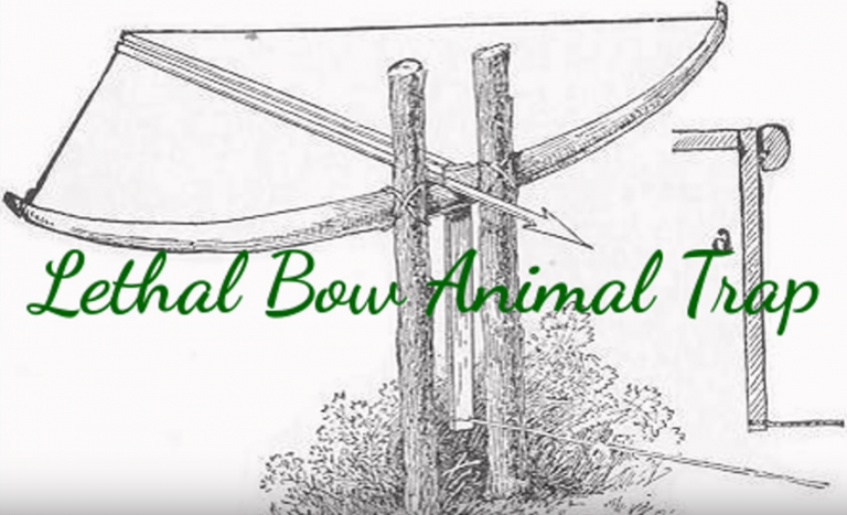 Bow Trap ~ Lethal – 101 Ways to Survive