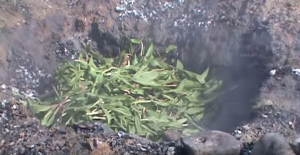 How to Create an Effective Steam Pit – 101 Ways to Survive