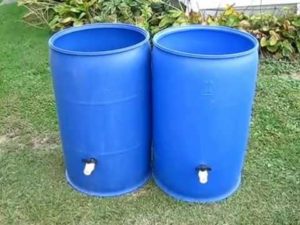 How to Raise Catfish in a Barrel – 101 Ways to Survive